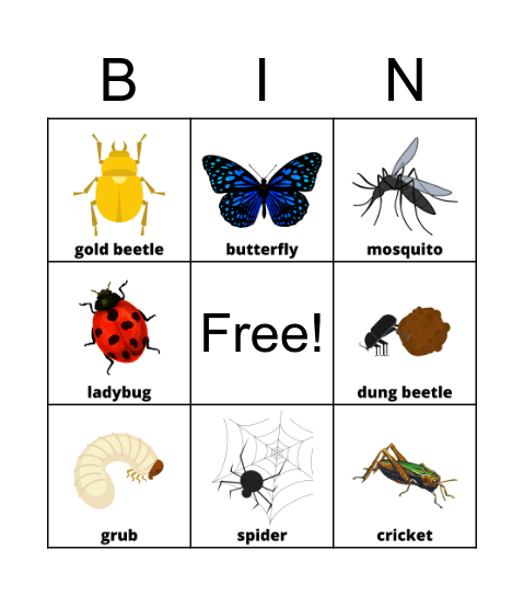 Insects Bingo Card