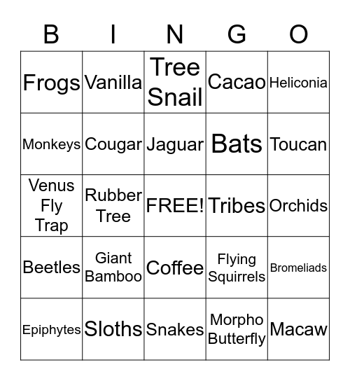 Rainforest Bingo Card