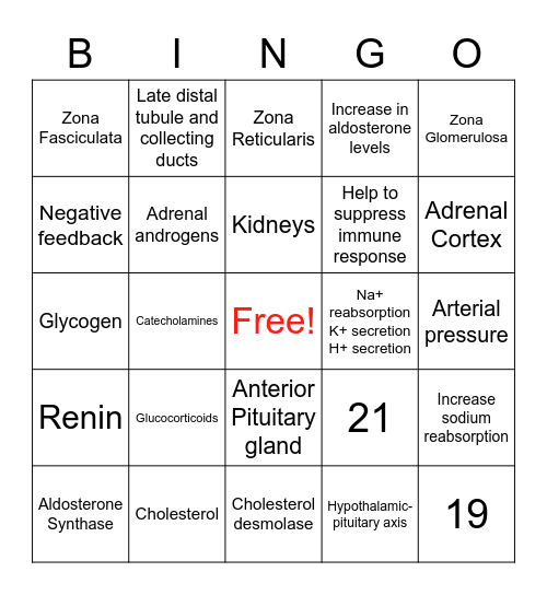 Endocrine Physiology Bingo Card