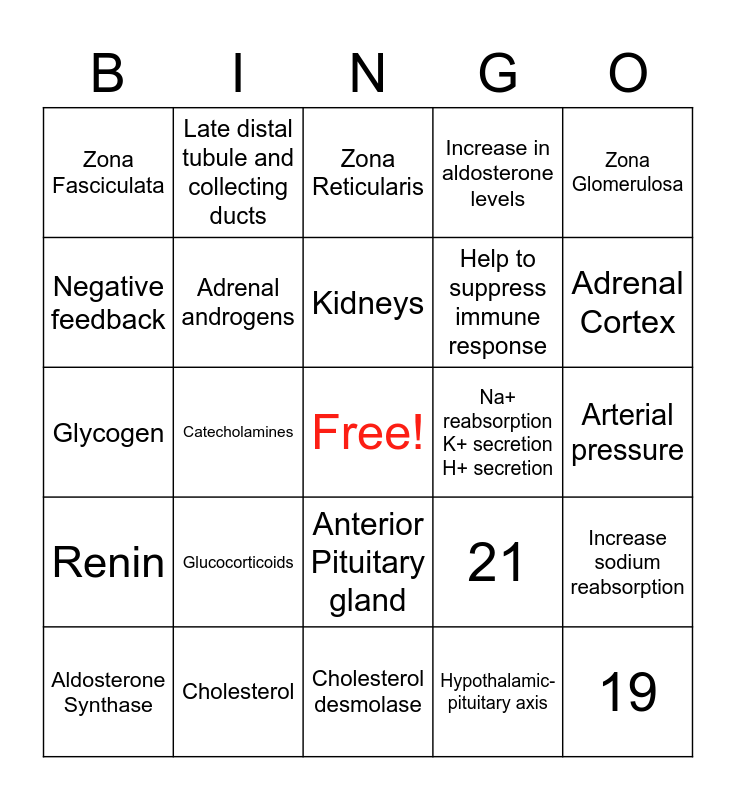 Endocrine Physiology Bingo Card