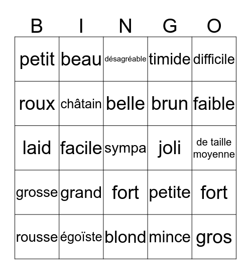 Les Adjectifs! Fr 1A-Leçon 1B Bingo Card