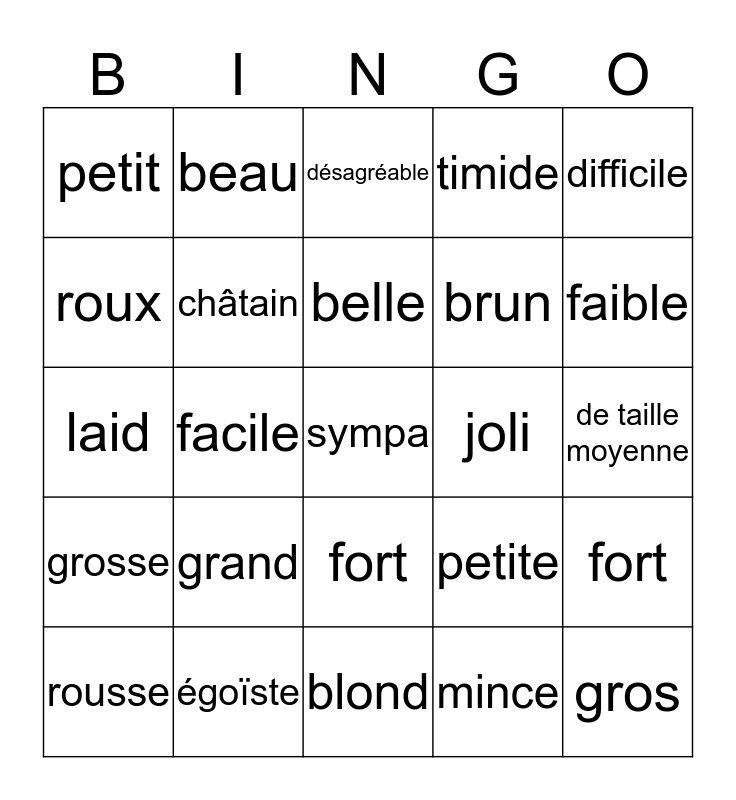 Les Adjectifs! Fr 1A-Leçon 1B Bingo Card