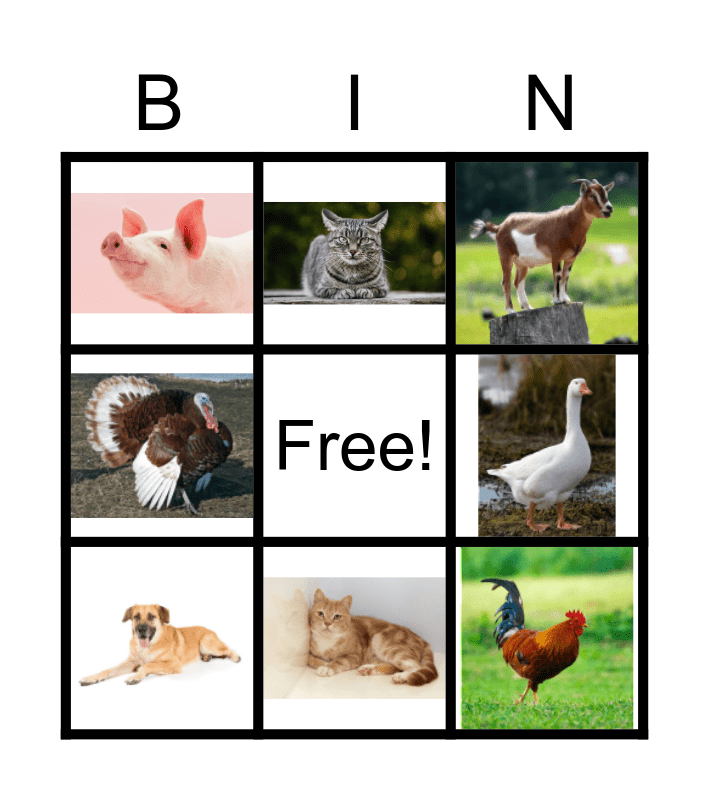 Farm Animals Bingo Card