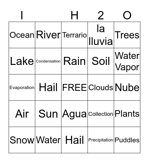 Water Cycle Bingo Card