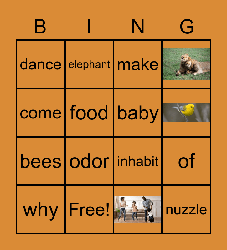 Lesson 7 Vocabulary Bingo Card