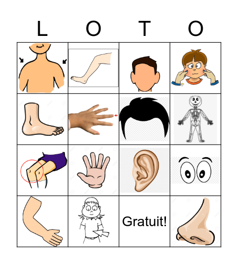 Parties du corps Bingo Card