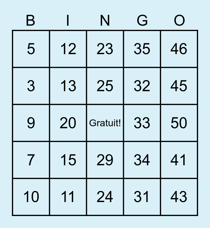 Bingo en français Bingo Card