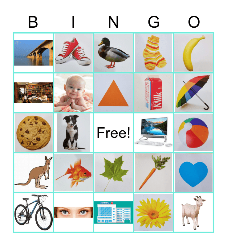 What am I? Bingo Card