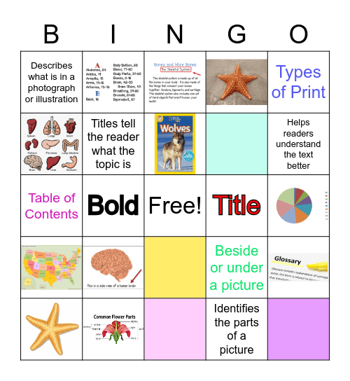 Nonfiction Text Feature Bingo Card