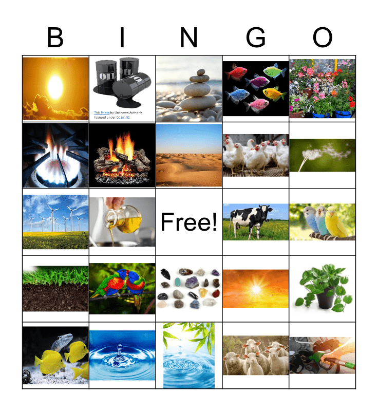 NATURAL RESOURCES Bingo Card