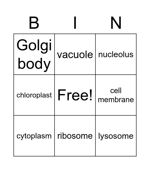 Cell structure Bingo Card
