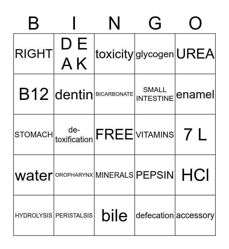 DIGESTIVE SYSTEM REVIEW CARD 2 Bingo Card