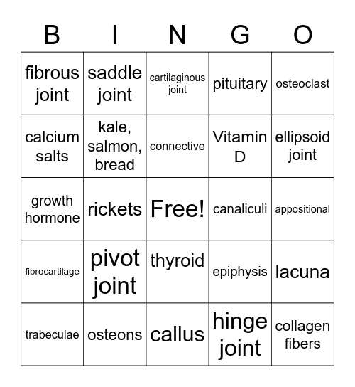 Histology of bone bingo Card