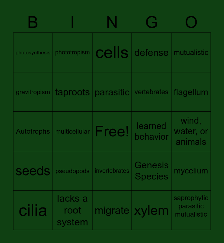 Play Animals, Protist, Fungi, Plants Online | BingoBaker