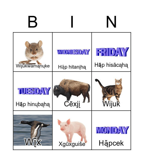 HoCak Bingo! Bingo Card