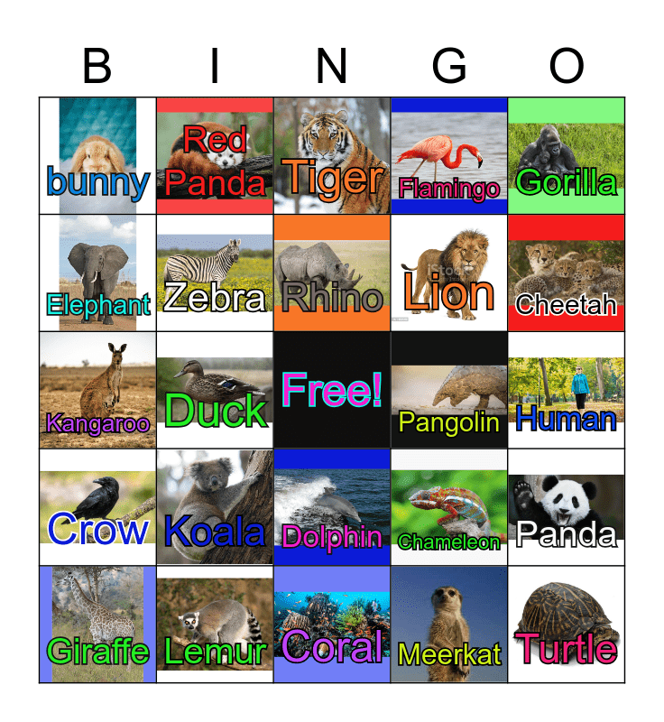 Animals Bingo with words & pictures Bingo Card
