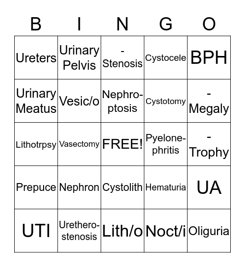 Chapter 6 & 7 Urinary amd Male Reproduction System Bingo Card