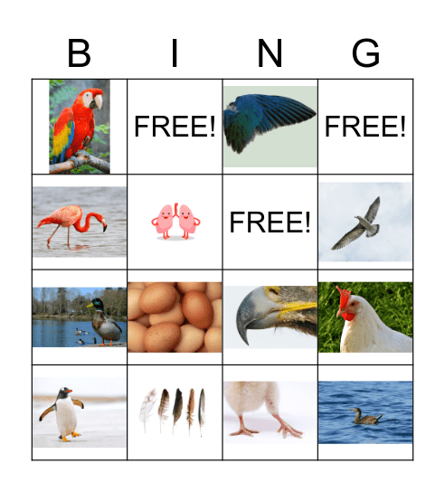BIRDS BINGO! Bingo Card