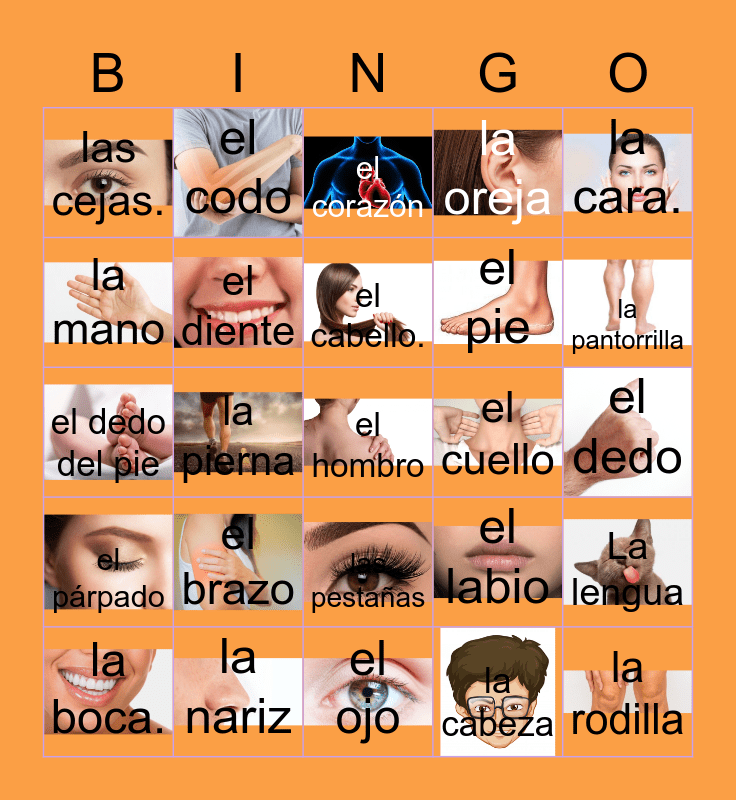 Bingo Partes Del Cuerpo - fundraisingnest.com
