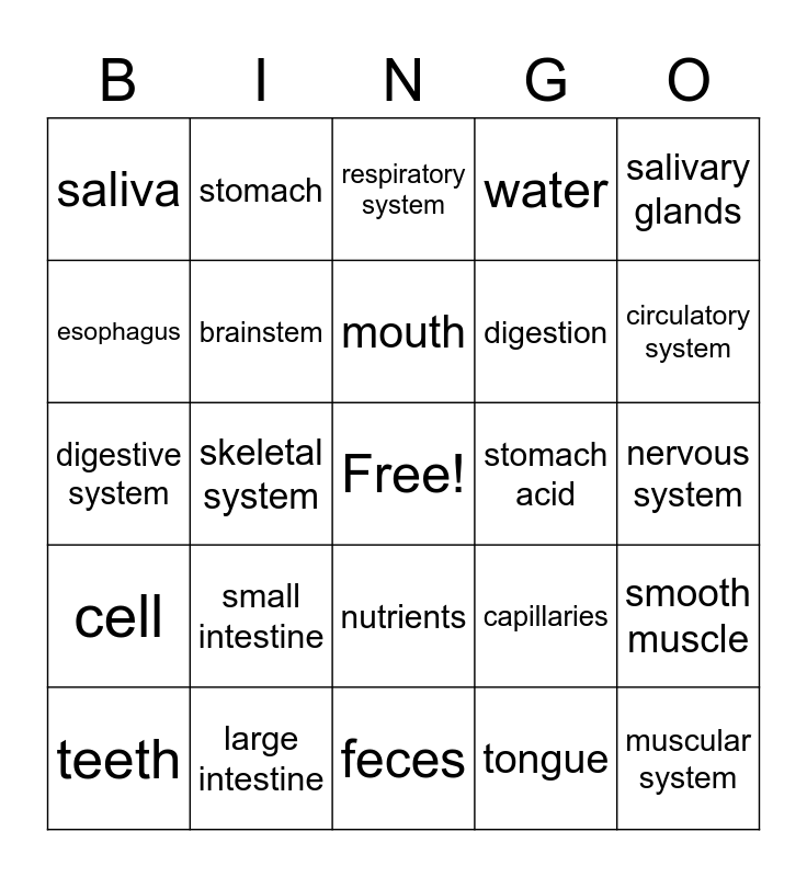 The Digestive System Bingo Card