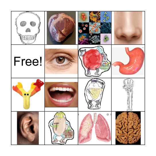 Human Body Bingo Card
