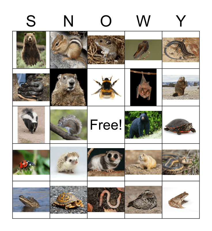 Hibernation Bingo Card