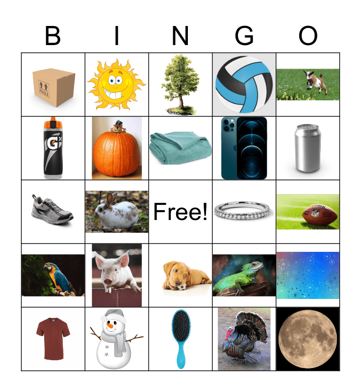 Fun Bingo Card