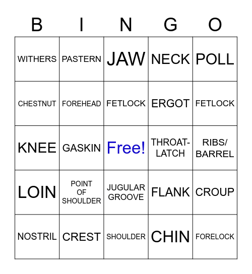 PARTS OF THE HORSE Bingo Card
