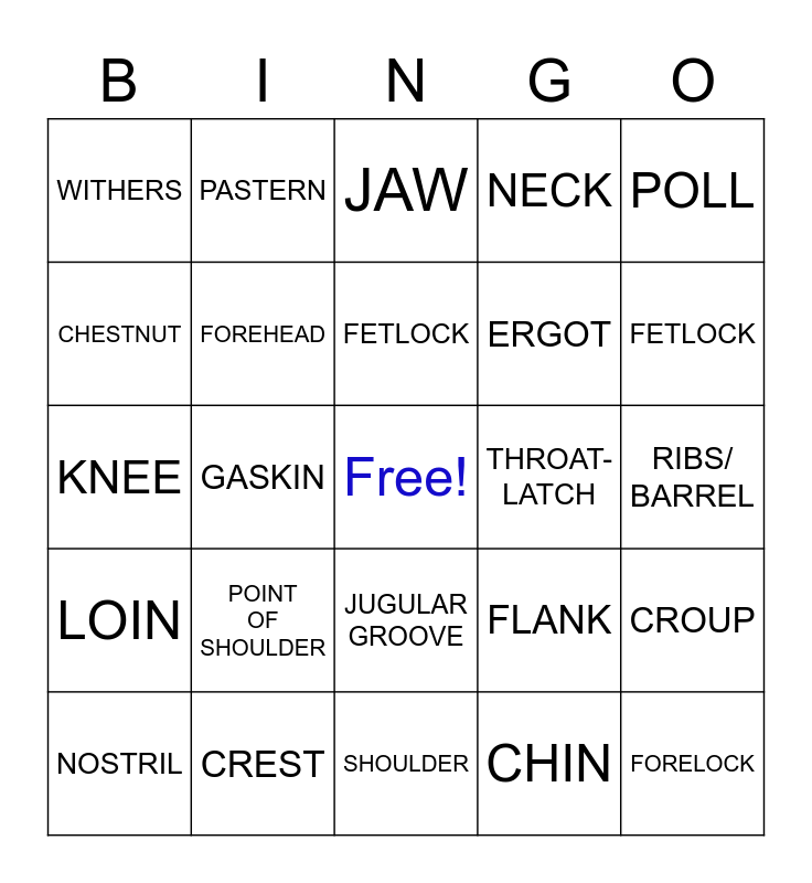 PARTS OF THE HORSE Bingo Card