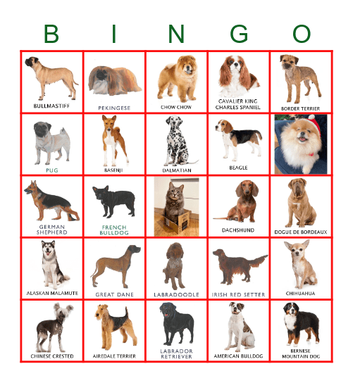 DOGS Bingo Card