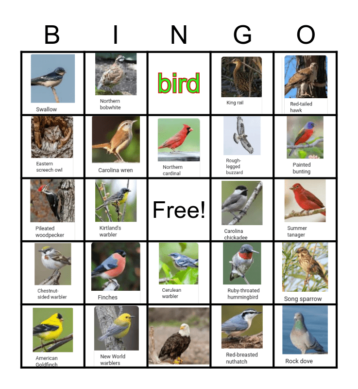 Birds Bingo Card