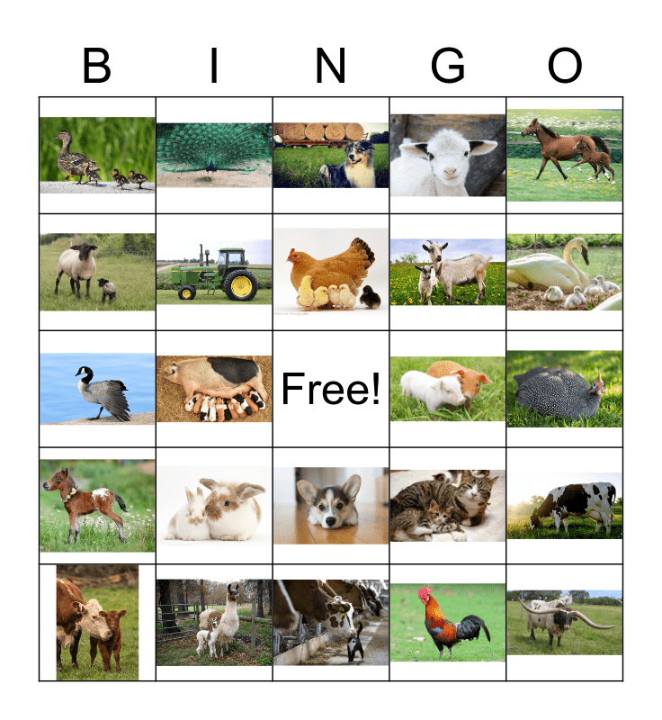 Farm Animals Bingo Card