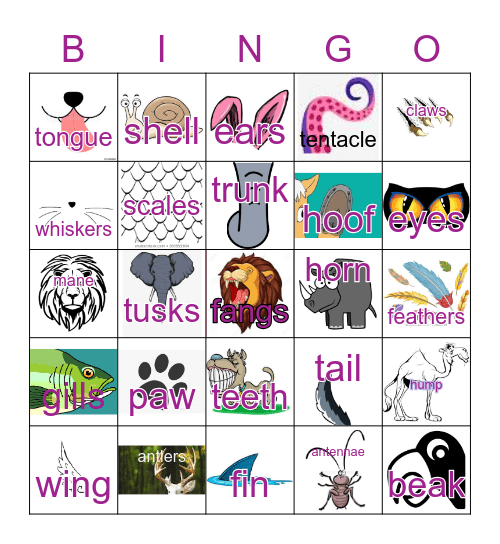 Animal Body Parts Bingo Card