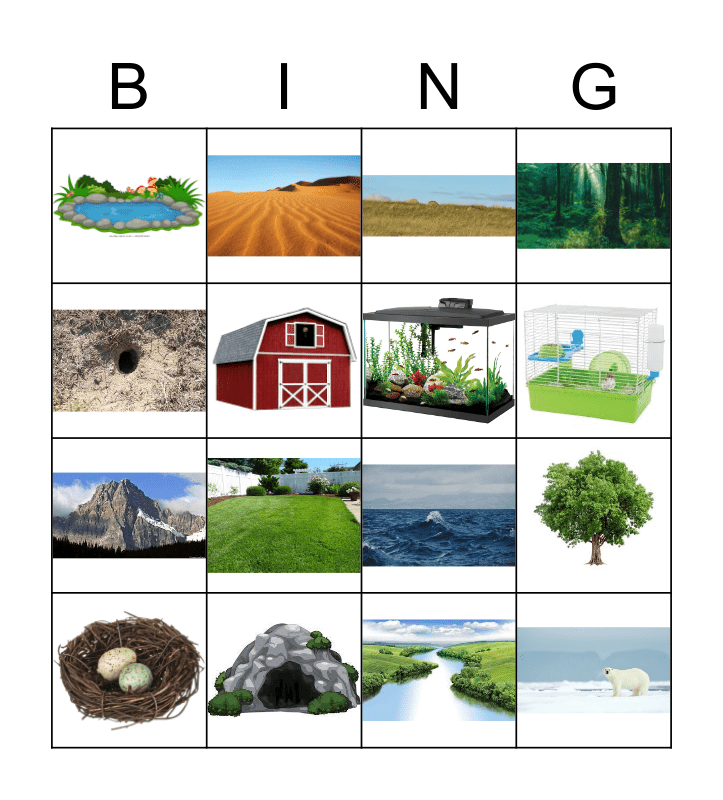 Habitats Bingo Card
