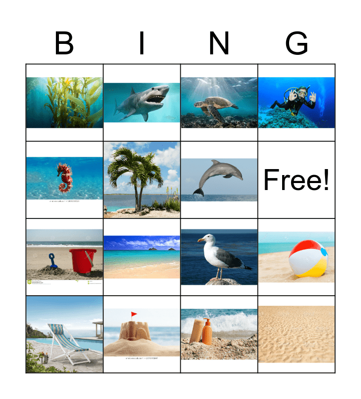 Living/Non Living Things At The Beach Bingo Card