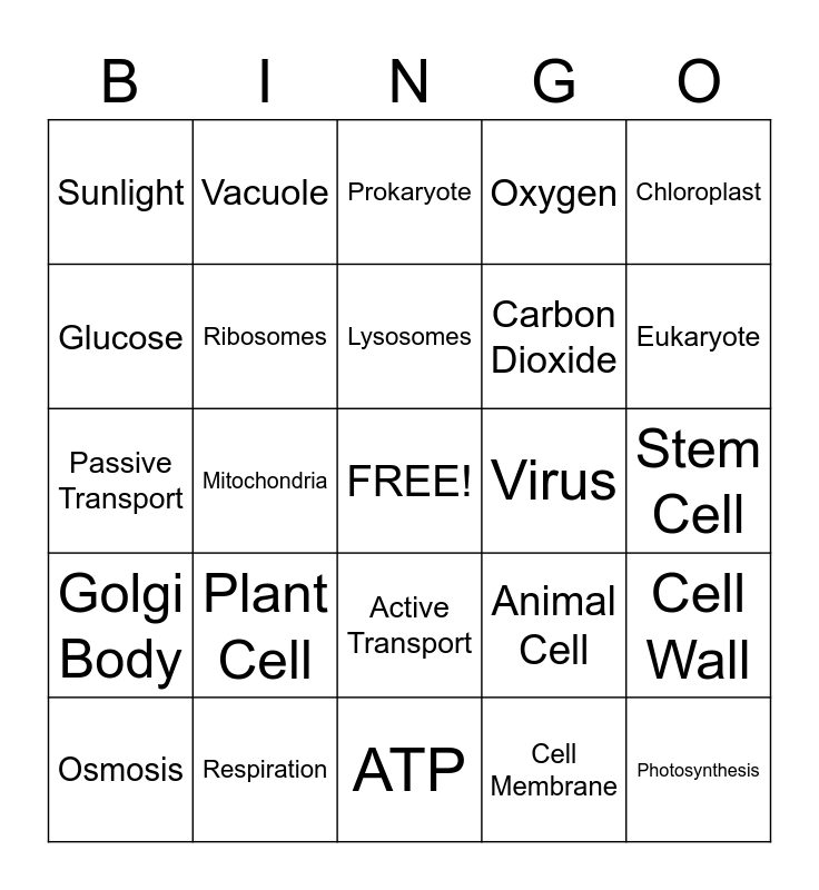 Life Science! Bingo Card