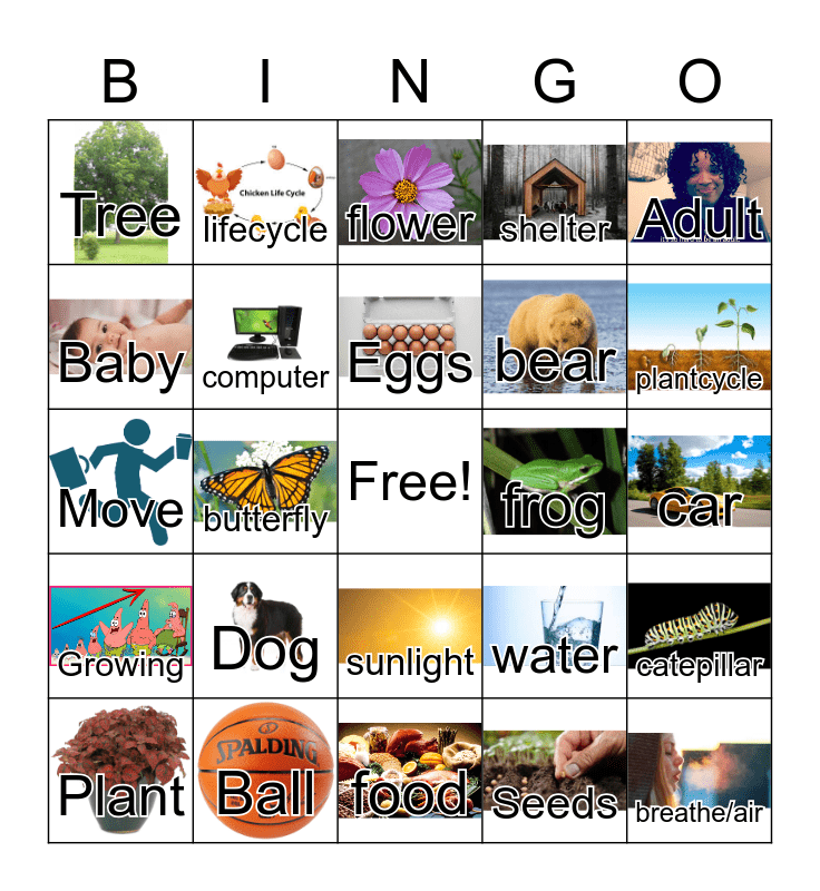 Living and Non Living Bingo Card