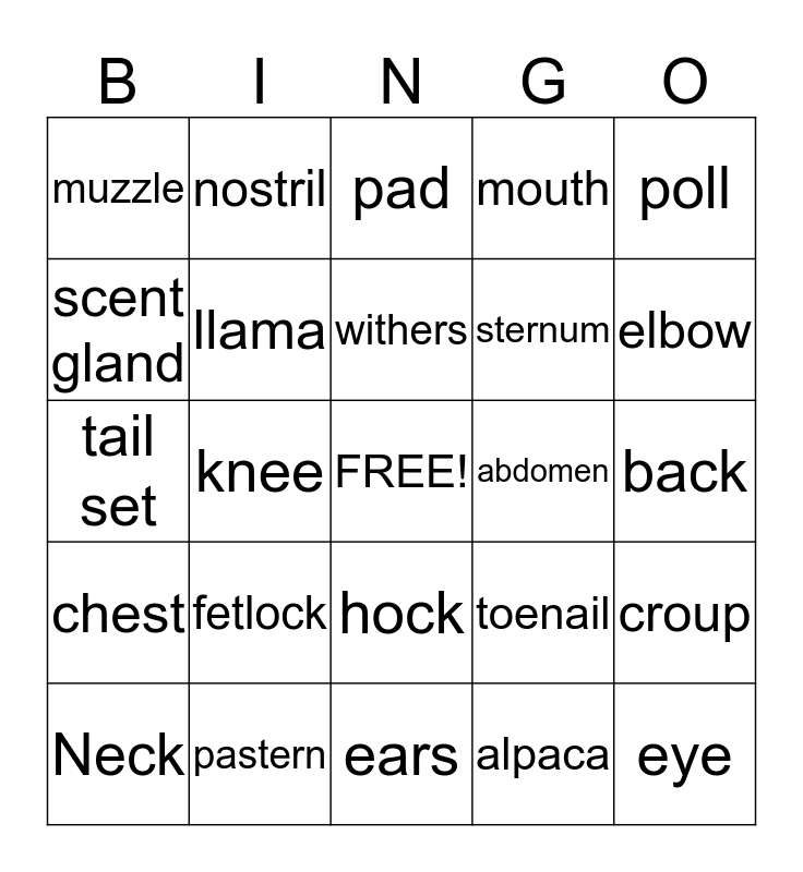 llama bingo Card
