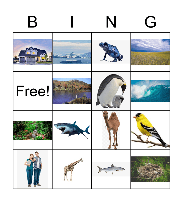 Habitats and Living Things Bingo Card