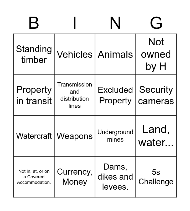 Excluded Property Bingo Card