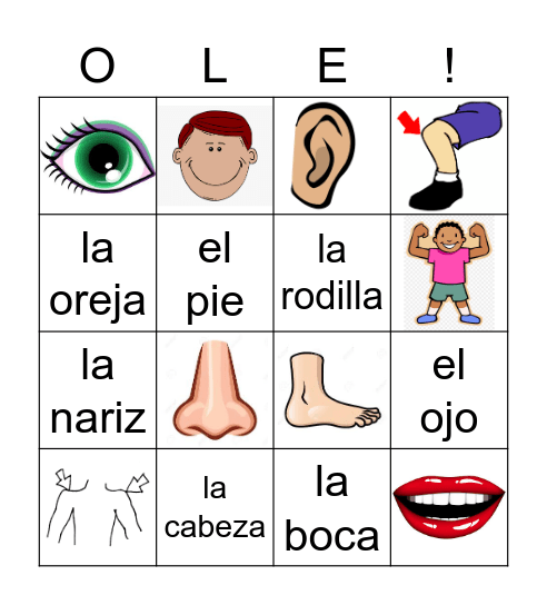 Body Parts Bingo Card