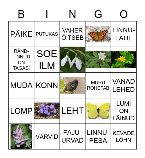 KEVADE MÄRKIDE Bingo Card