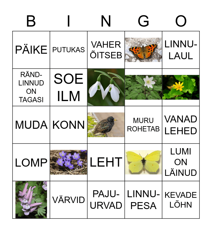 KEVADE MÄRKIDE Bingo Card