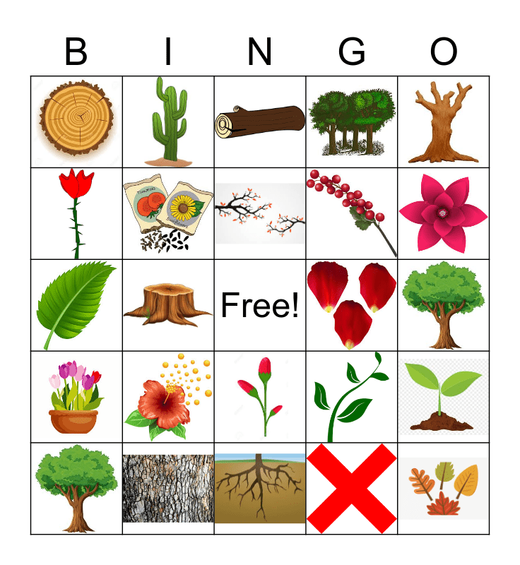 Plant Vocabulary Bingo Card