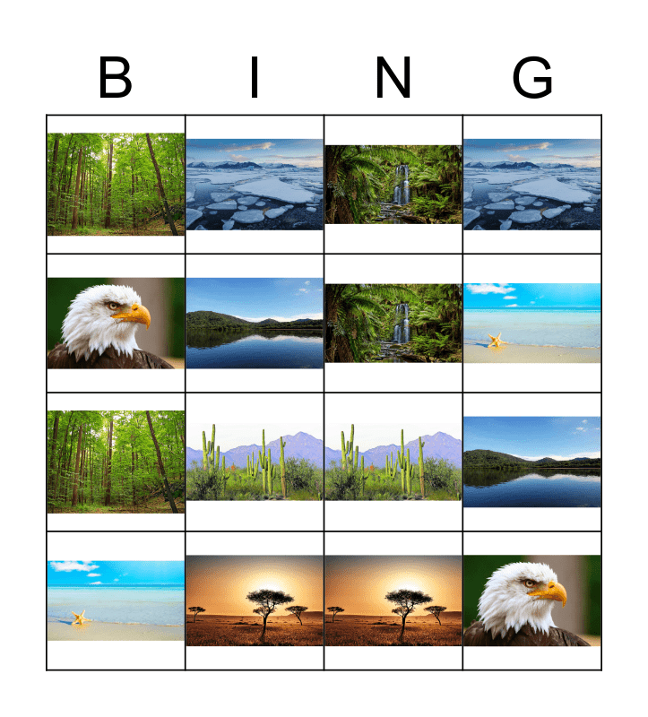 Animal Habitats Bingo Card
