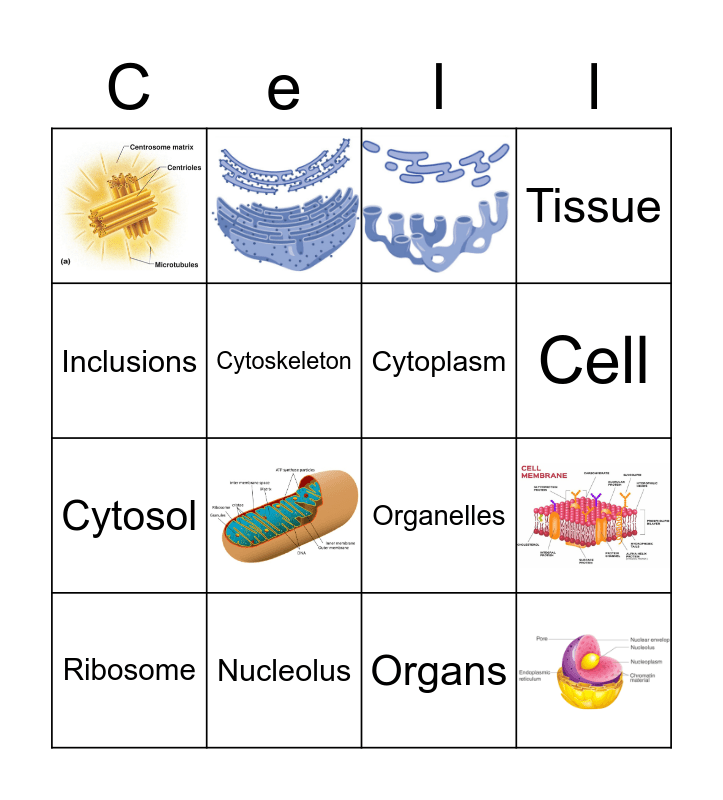 Cell Structure Bingo Card