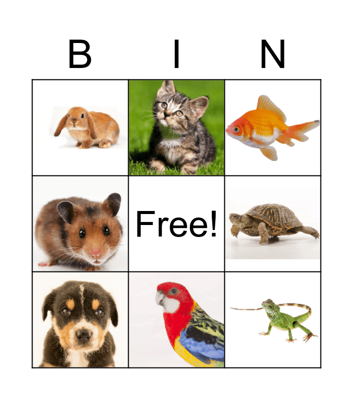 Pets Bingo Card