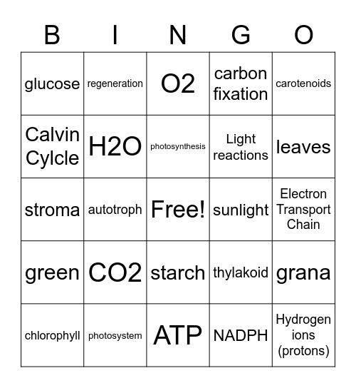 Photosynthesis Bingo Card