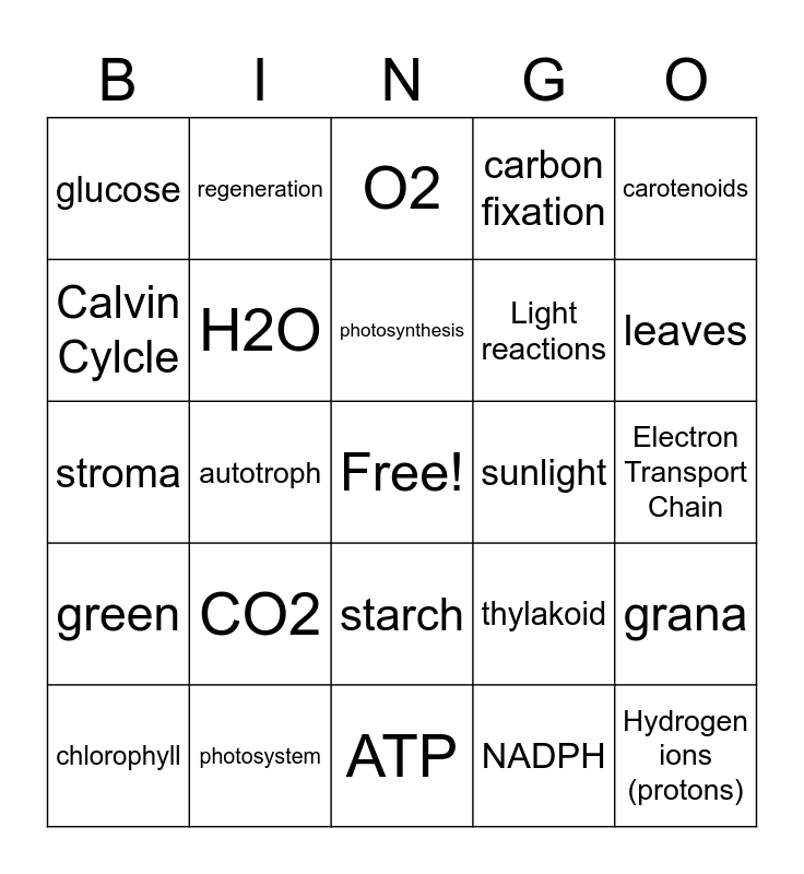 Photosynthesis Bingo Card