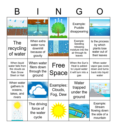 Water Cycle Bingo Card